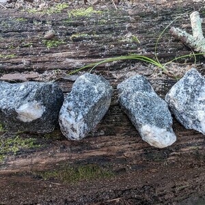 Intrusive Igneous Rock Set Featuring Feldspar & Crystalized Mineral ...