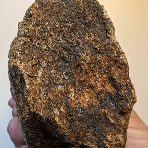 Mica Schist 1 Lb. 11.7 Oz. Foliated Metamorphic Rock Specimen Showing ...