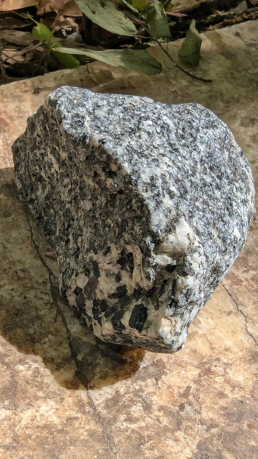 Diorite * Small, Intrusive Igneous Rock With Copper or Decorative Black ...