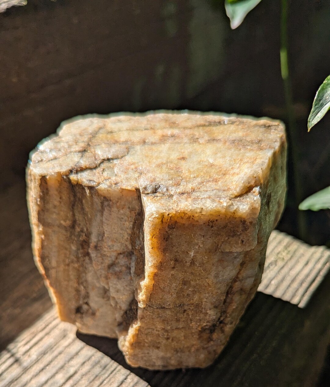 Rough Quartzite Rock * Metamorphic Specimen or Decorative Crystalline ...