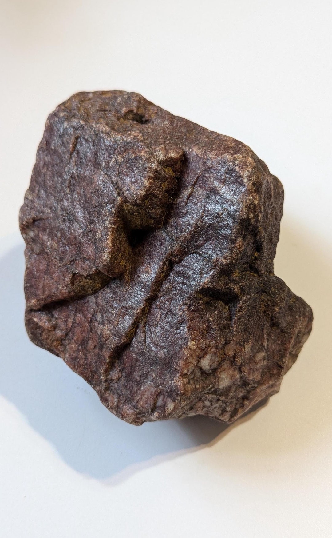 Pink to Purple Quartzite Rock * Metamorphic Specimen or Decorative ...