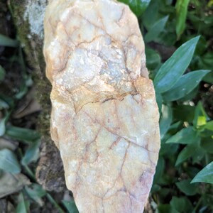 Large Variegated Quartzite or Quartz-filled Rock Metamorphic Specimen ...