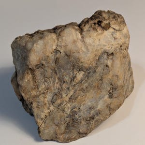 Cherty Quartzite Rock Metamorphic Specimen or Decorative Multi-standing ...