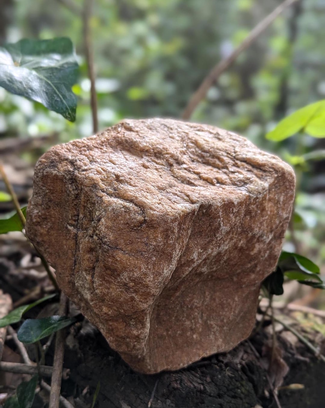 Ripened Orange Quartzite * Basking or Climbing Rock, Metamorphic ...