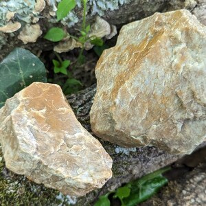 Cherty Quartzite Rocks 2 Pc, Metamorphic Specimens or Decorative Creamy ...