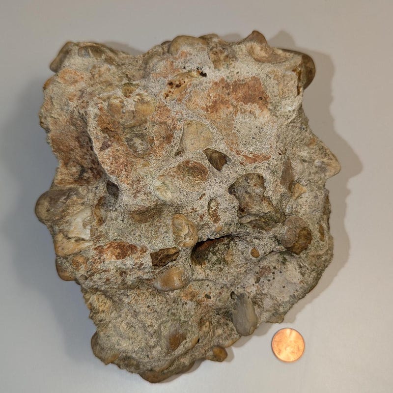 Conglomerate Stone - Etsy