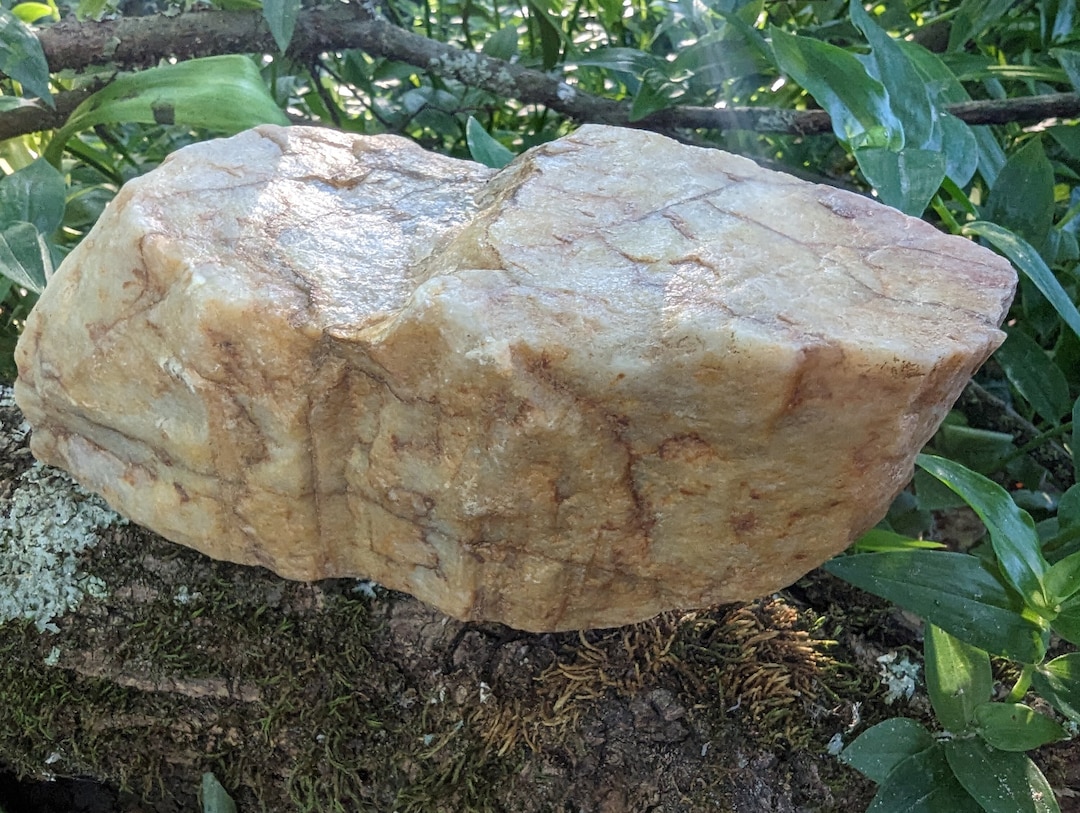 Large Variegated Quartzite (or Quartz-filled Rock) * Metamorphic ...