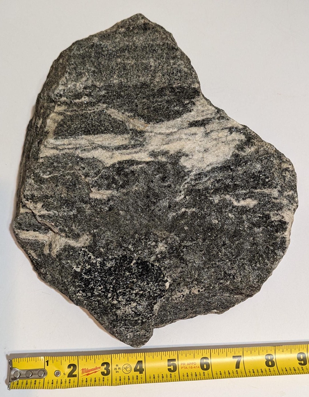 Gneissic Schist * Large, Banded Metamorphic Rock or Glittery Ridged ...