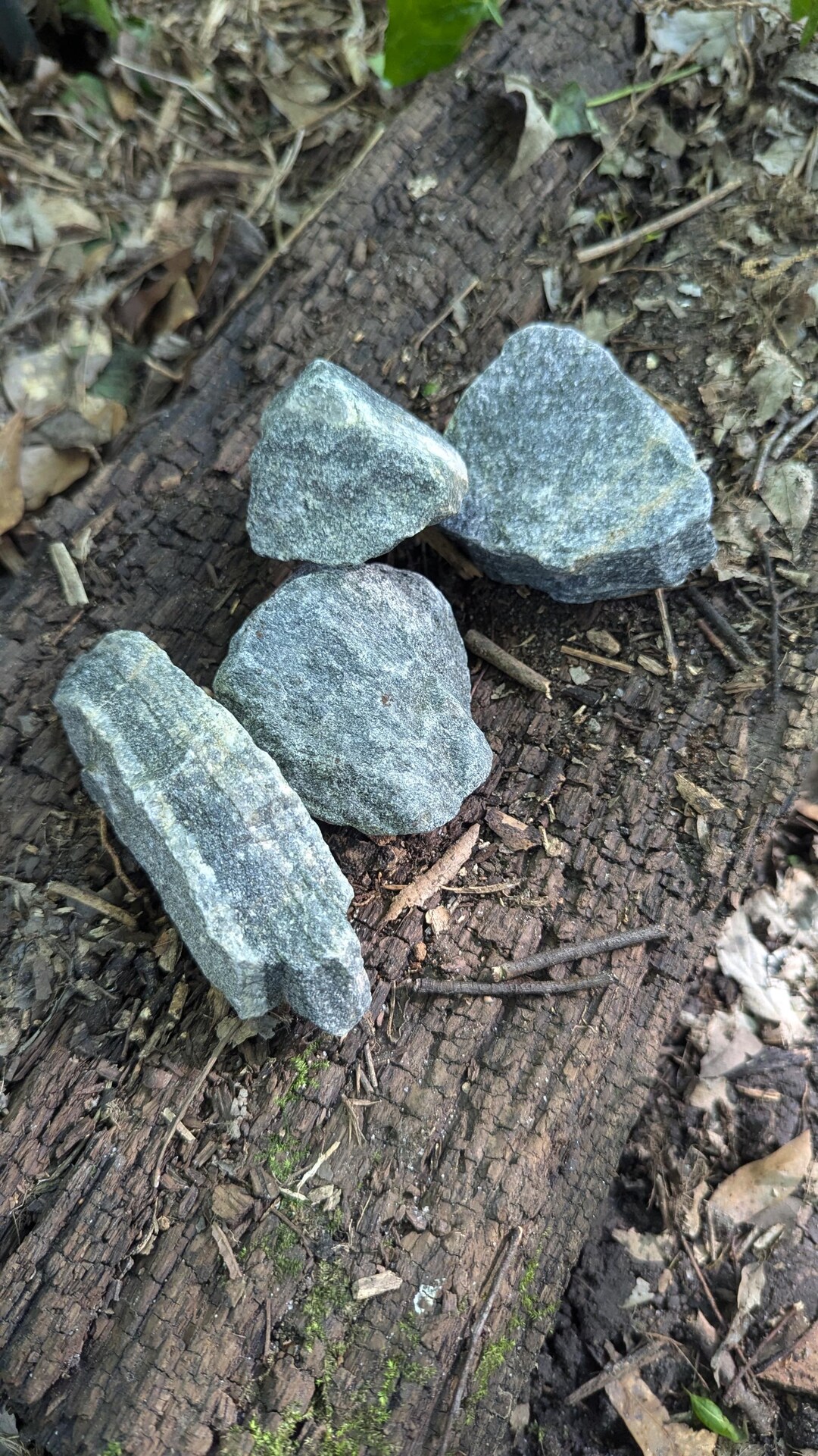 Granitic Rocks * 4-pc Fine-grained Igneous & Metamorphic Specimens or ...