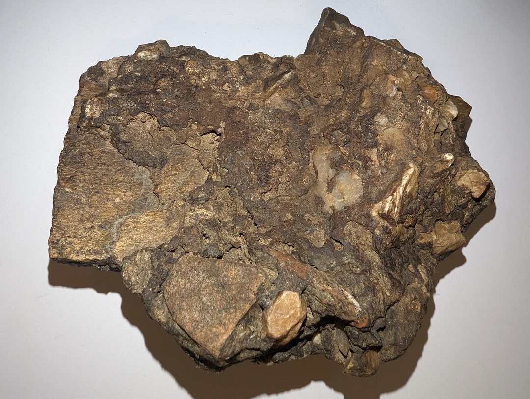 Large Mudstone Breccia * 5 Lbs. 1.2 Oz Rough, Poorly Sorted, Freshwater ...