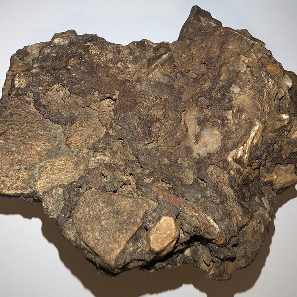 Large Specimen - Etsy