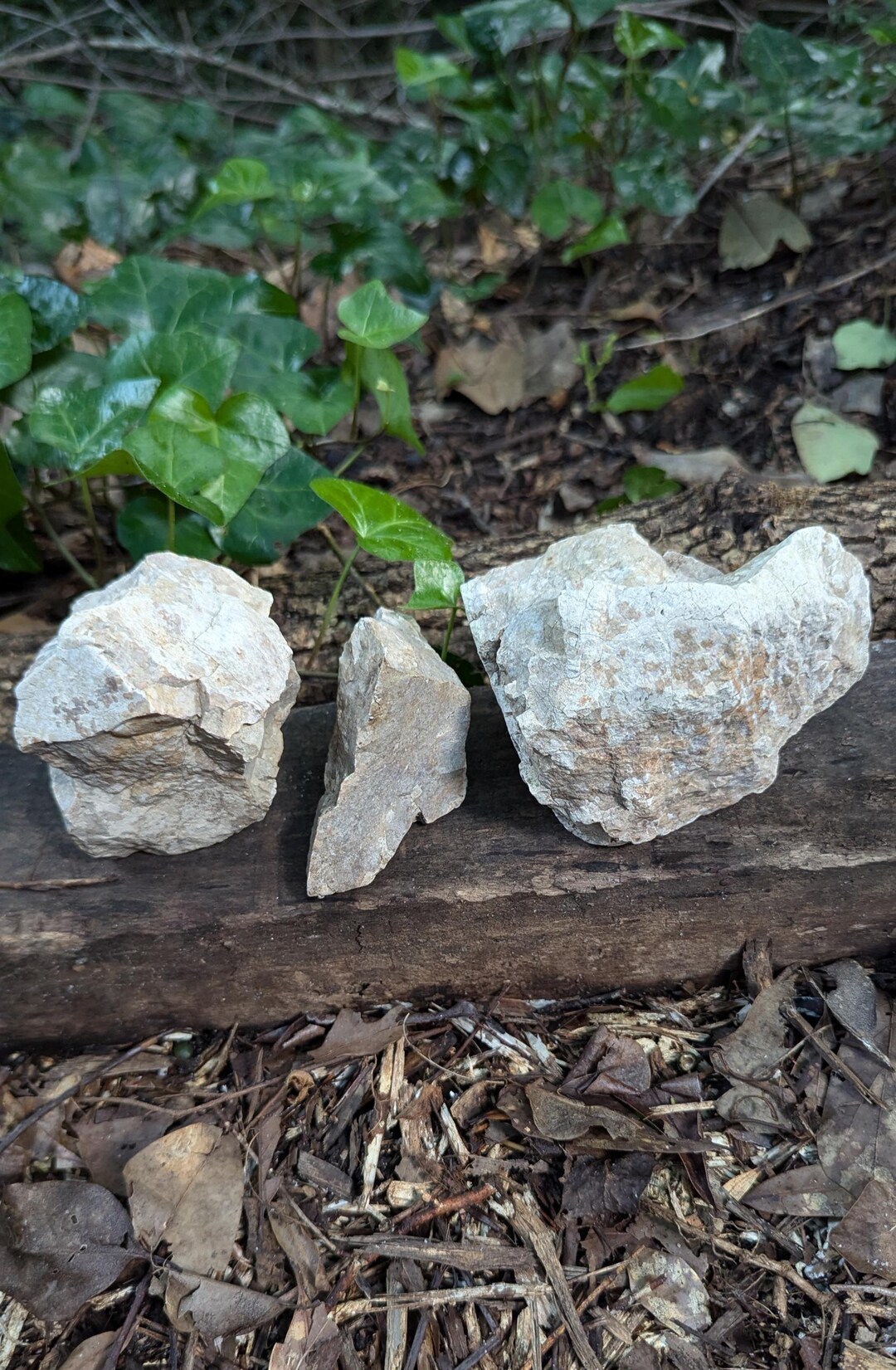 3 Pc Freshwater Mudstone Set * Fine-grained Sedimentary Specimens ...