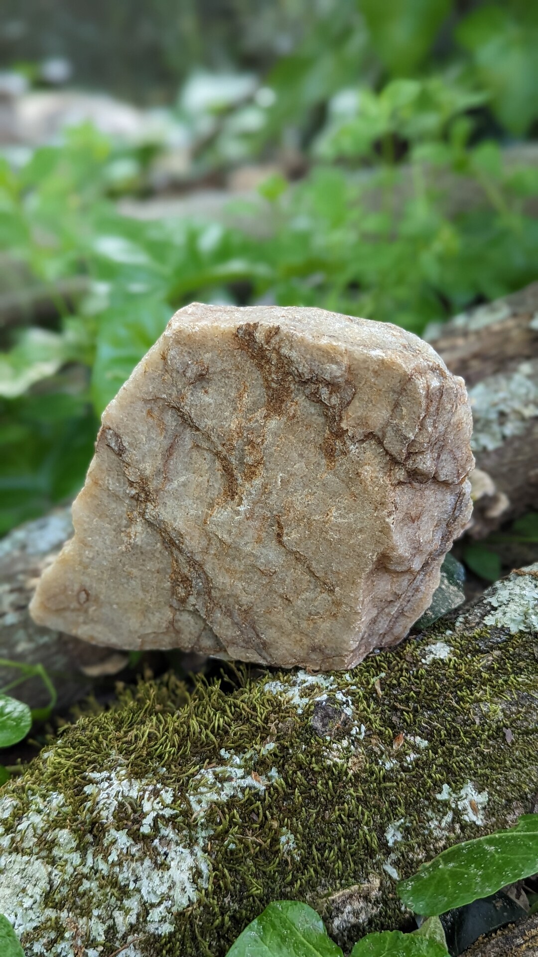 Variegated Quartzite or Quartz-filled Rock 2 Lbs. 7.4 Oz Metamorphic ...