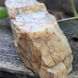 Large Variegated Quartzite or Quartz-filled Rock Metamorphic Specimen ...