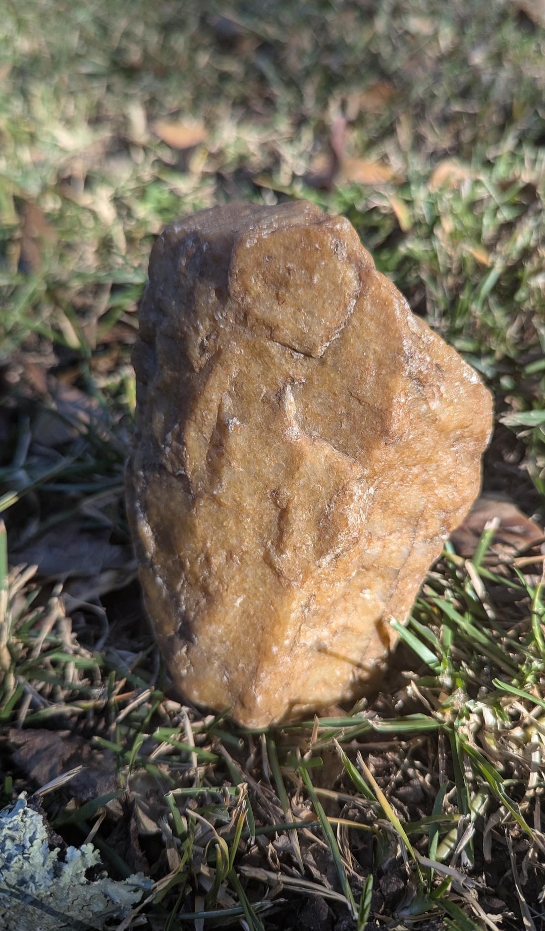 Butterscotch Quartzite Rock #532 * Hand-size, Metamorphic Specimen or ...