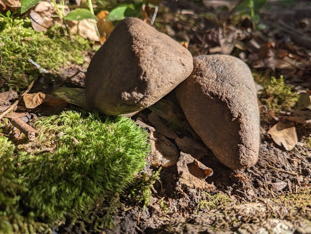 Brown River Rocks * 2 Decorative Georgia Natural Stones * the Odd Rock ...