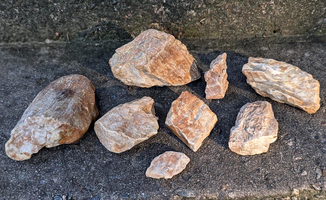 Decorative Terracotta-color Rocks * 8-pc Sedimentary Specimens ...