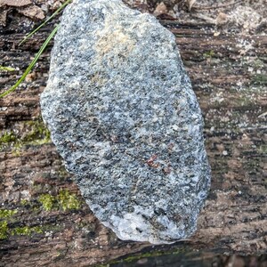 Intrusive Igneous Rock Set Featuring Feldspar & Crystalized Mineral ...
