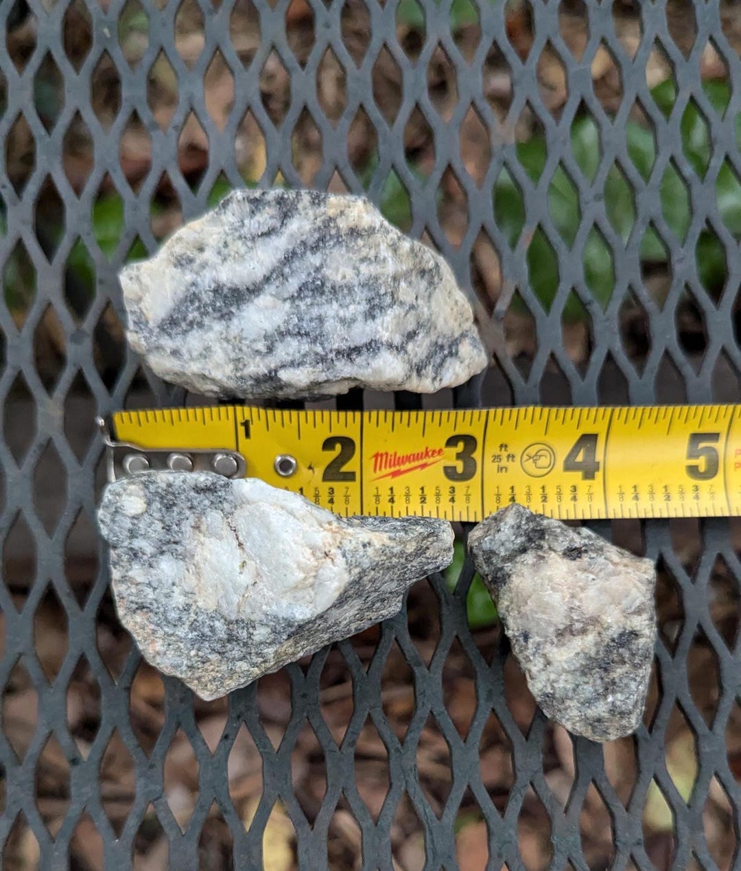 Porphyritic Granite Rocks * Small, Intrusive Igneous Specimens With ...