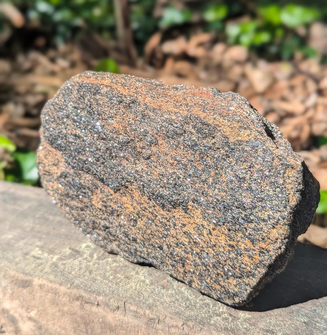 Unique Biotite Sandstone * Large, Micaceous Sedimentary Specimen or ...