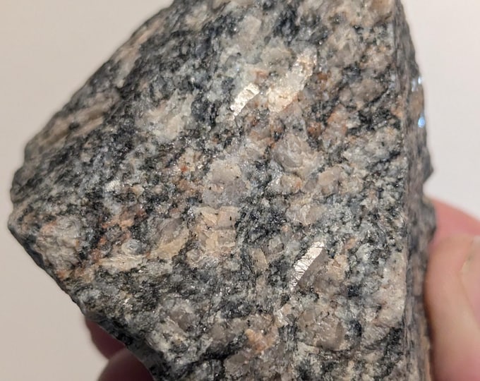 Granite Porphyry Rocks * 5 Pc Set, Small Intrusive Igneous Specimens or ...