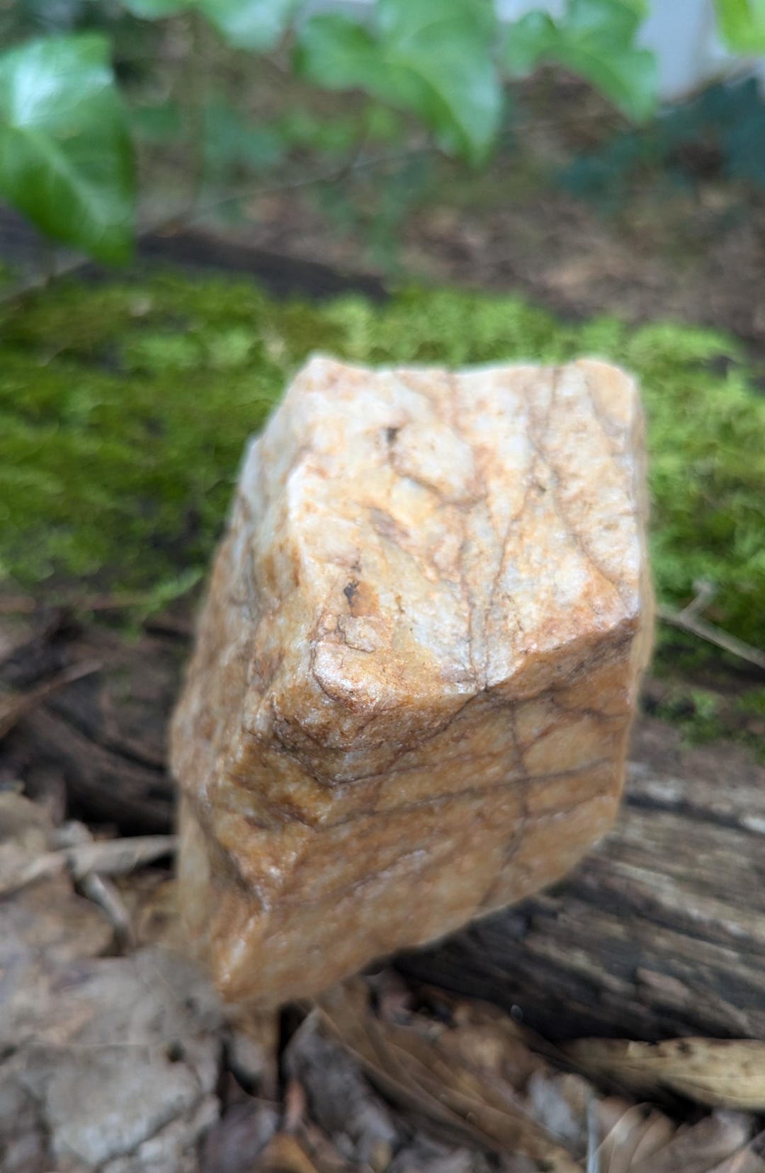 Sunrise Quartzite * Metamorphic Specimen W/ Fissures or Orange-hued ...
