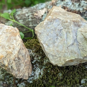 Cherty Quartzite Rocks 2 Pc, Metamorphic Specimens or Decorative Creamy ...