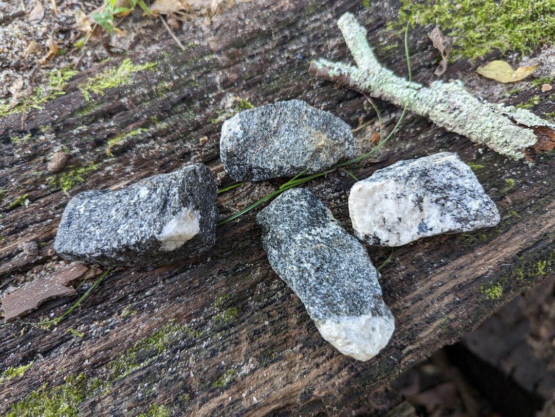 Intrusive Igneous Rock Set Featuring Feldspar & Crystalized Mineral ...