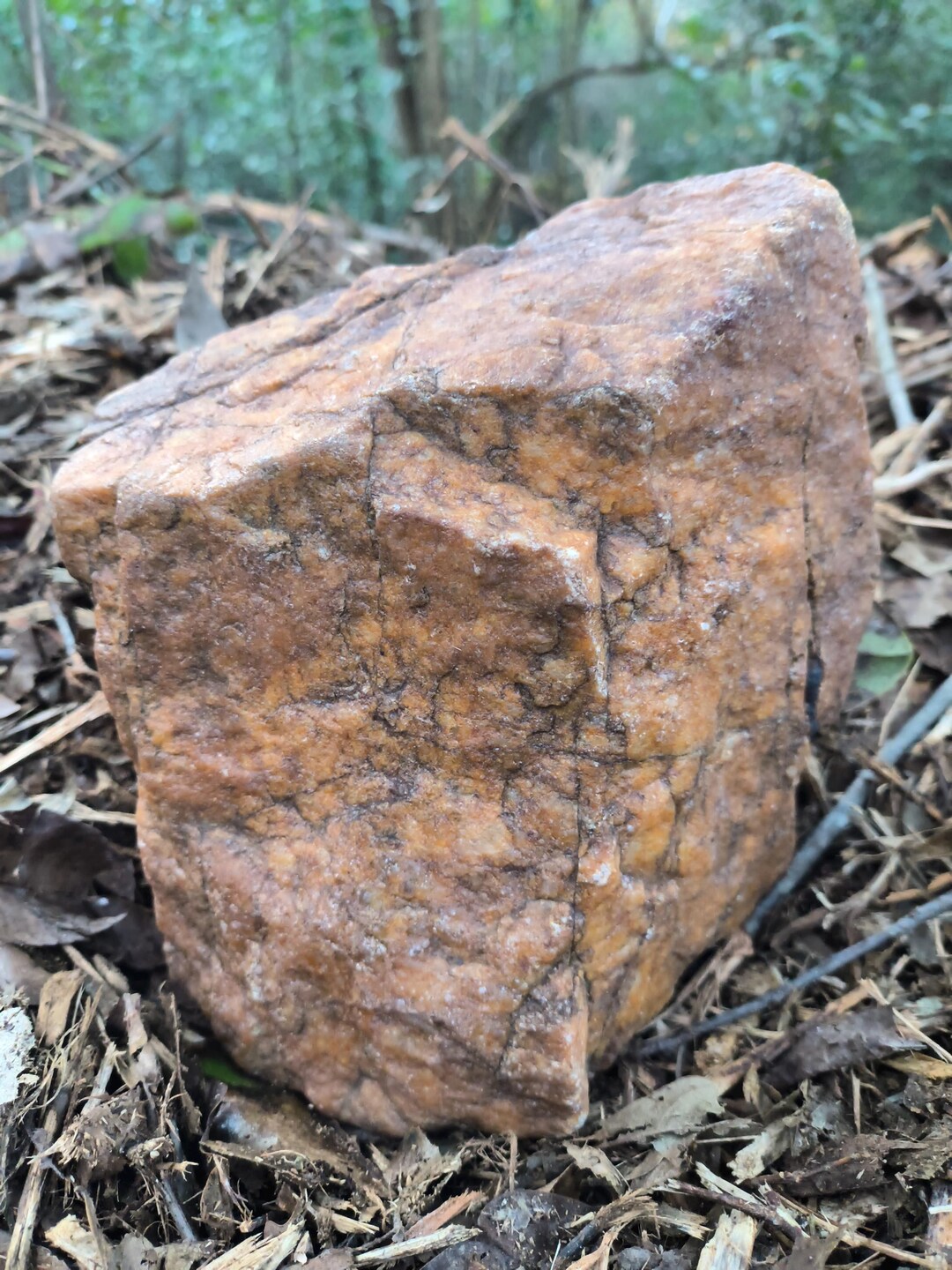 Carrot Cake Quartzite * Large, Climbing or Basking Rock, Decorative ...