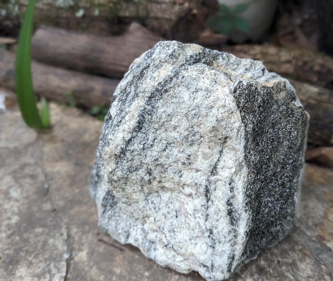 Large Granite Rock * 14 Lb. 12.9 Oz Gneissic Porphyritic Metamorphic ...