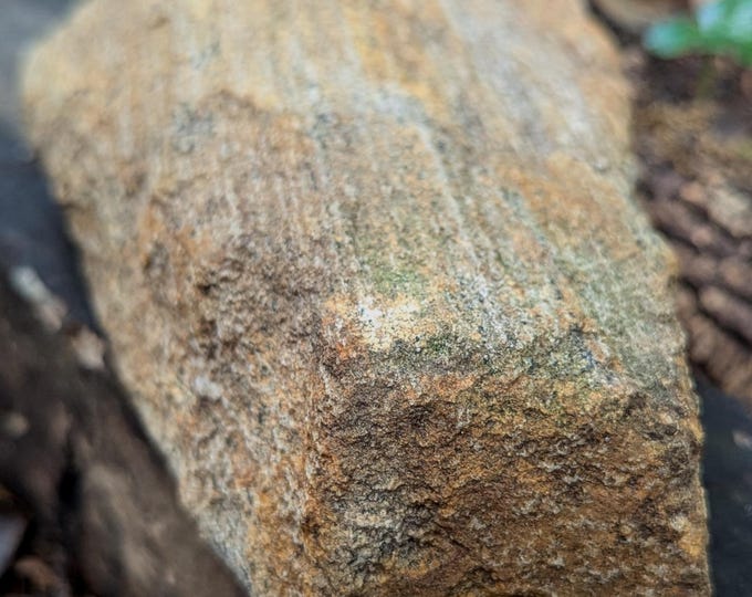 Freshwater Sandstone * Large, Layered Sedimentary Specimen or ...