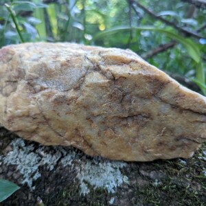 Large Variegated Quartzite or Quartz-filled Rock Metamorphic Specimen ...