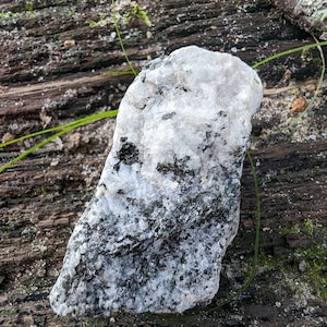 Intrusive Igneous Rock Set Featuring Feldspar & Crystalized Mineral ...