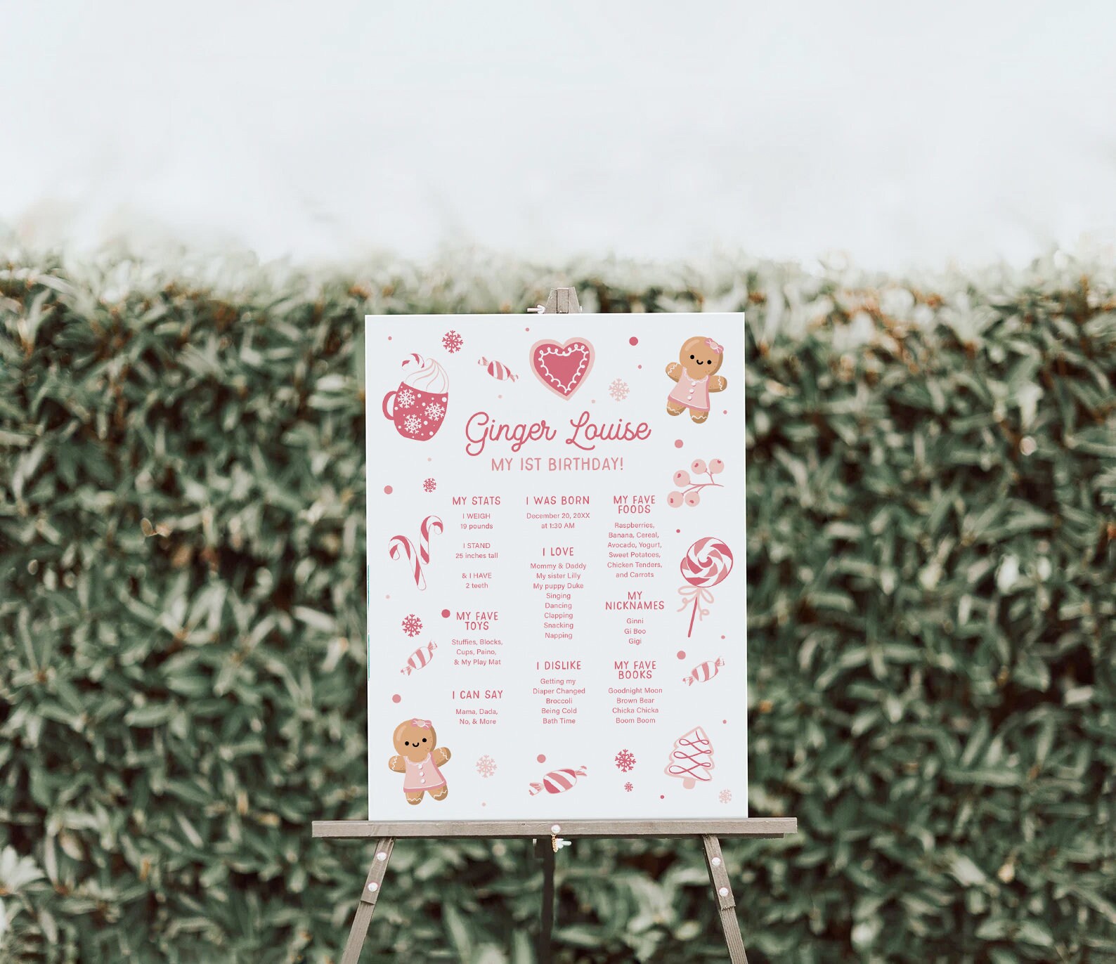 GINGER First 1st Birthday Milestone Stats Board Sign Winter - Etsy