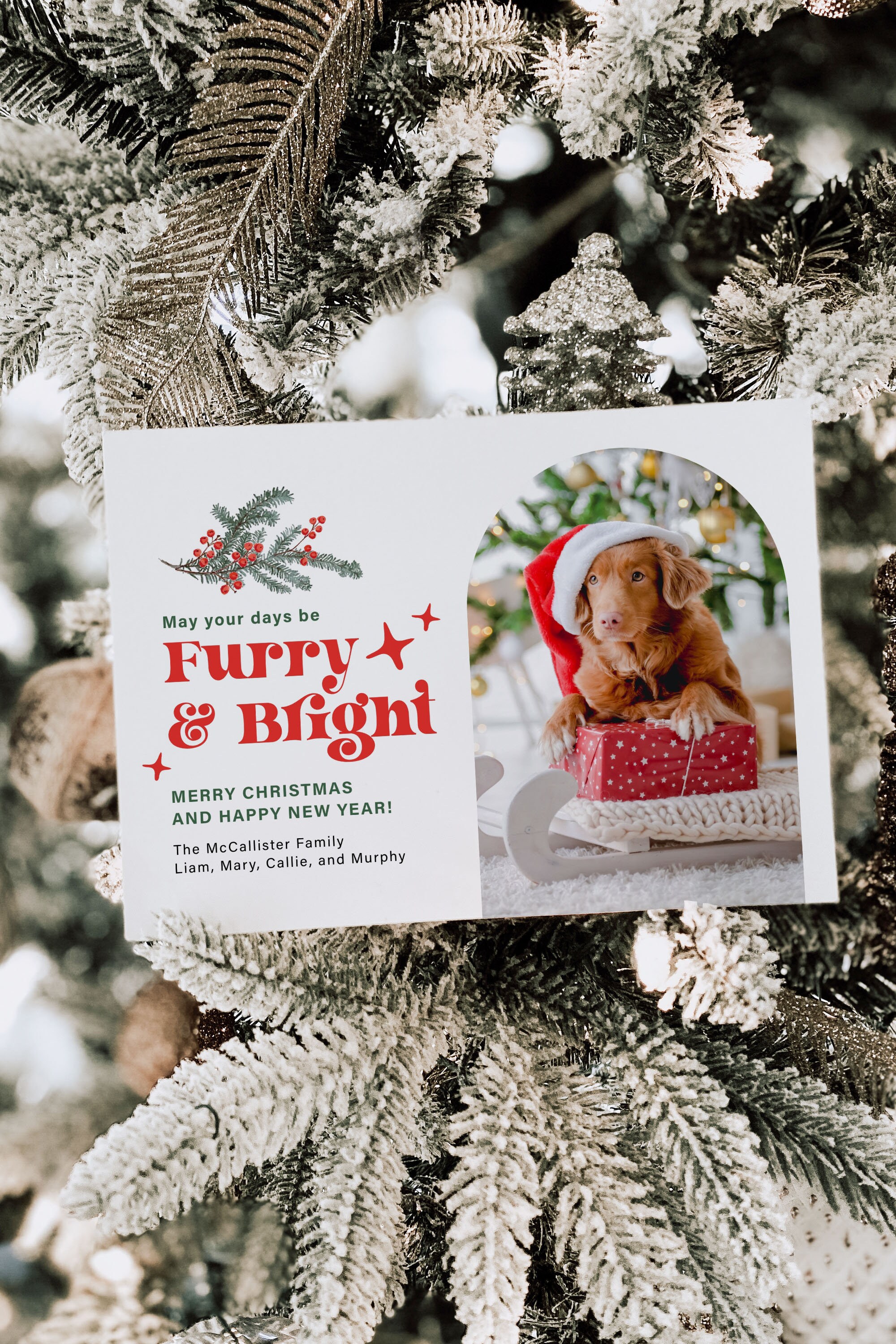 Furry and Bright Pet Dog Cat Photo Collage Holiday Card Minimalist ...