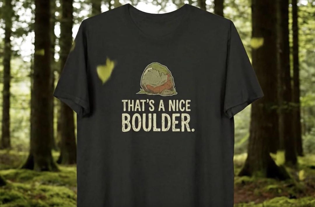 That's a Nice Boulder T-shirt | Shrek-nod Graphic Tee - Etsy