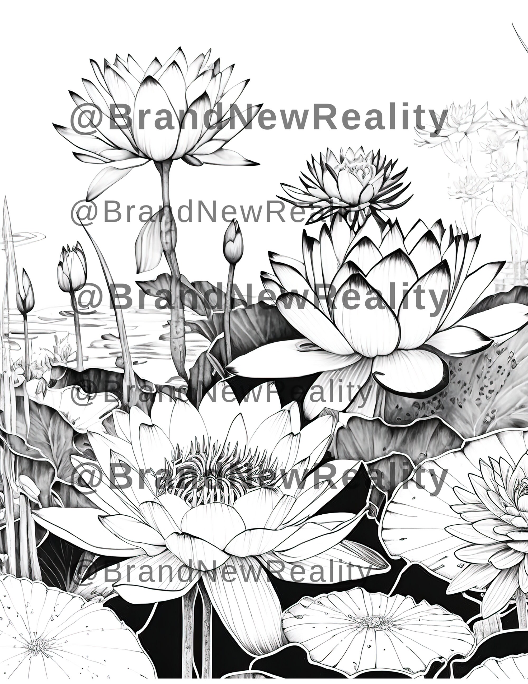 Coloring Book Water Lilies 30 Pages for Kids and Adults - Etsy