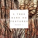 Tree Bark Digital Paper, Wood Texture Paper, Wooden Paper, Wood Grain ...