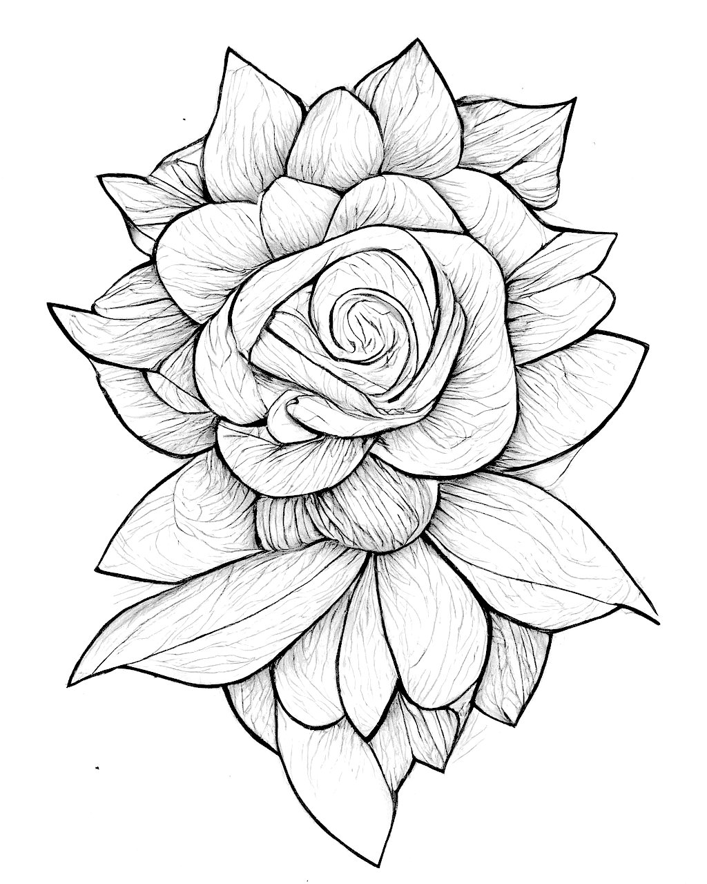 Coloring Book - 100 Flowers (100 Printable Pages) for Adults & Children ...