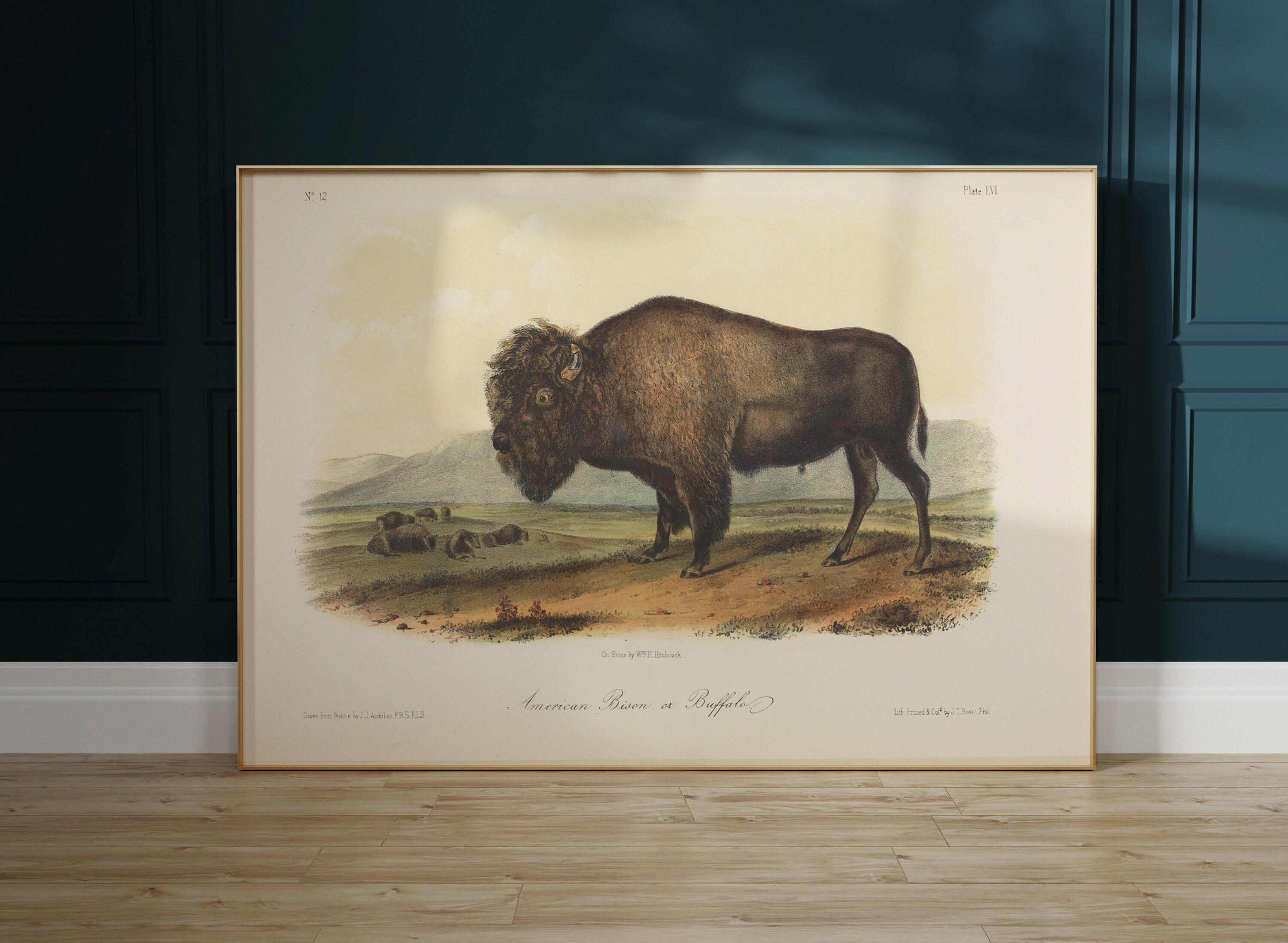 American Bison | Western Vintage Artwork Printable - Etsy