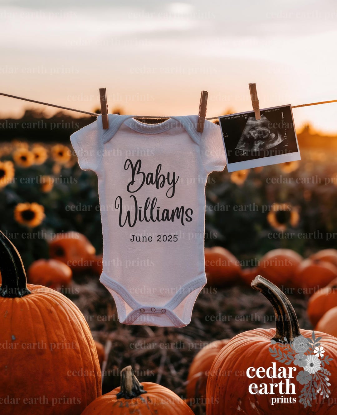 Fall Baby Announcement With Ultrasound, Editable Fall-themed Baby ...
