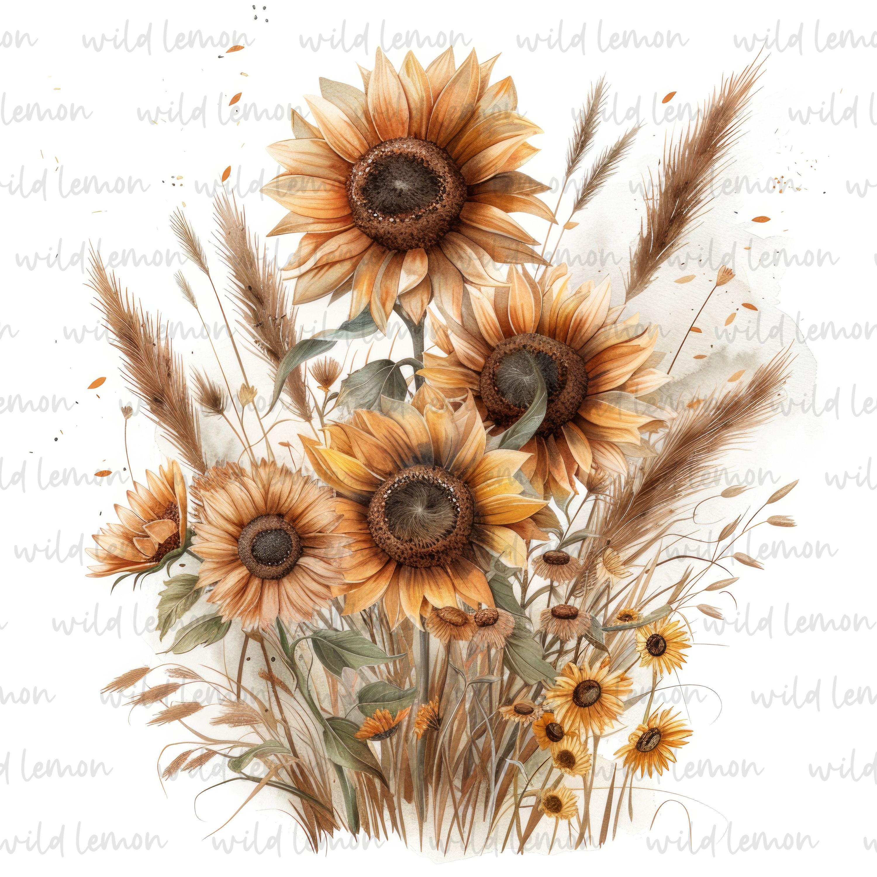 Sunflower Clipart - 10 Boho Sunflower Images, Watercolor Clipart, JPEG ...