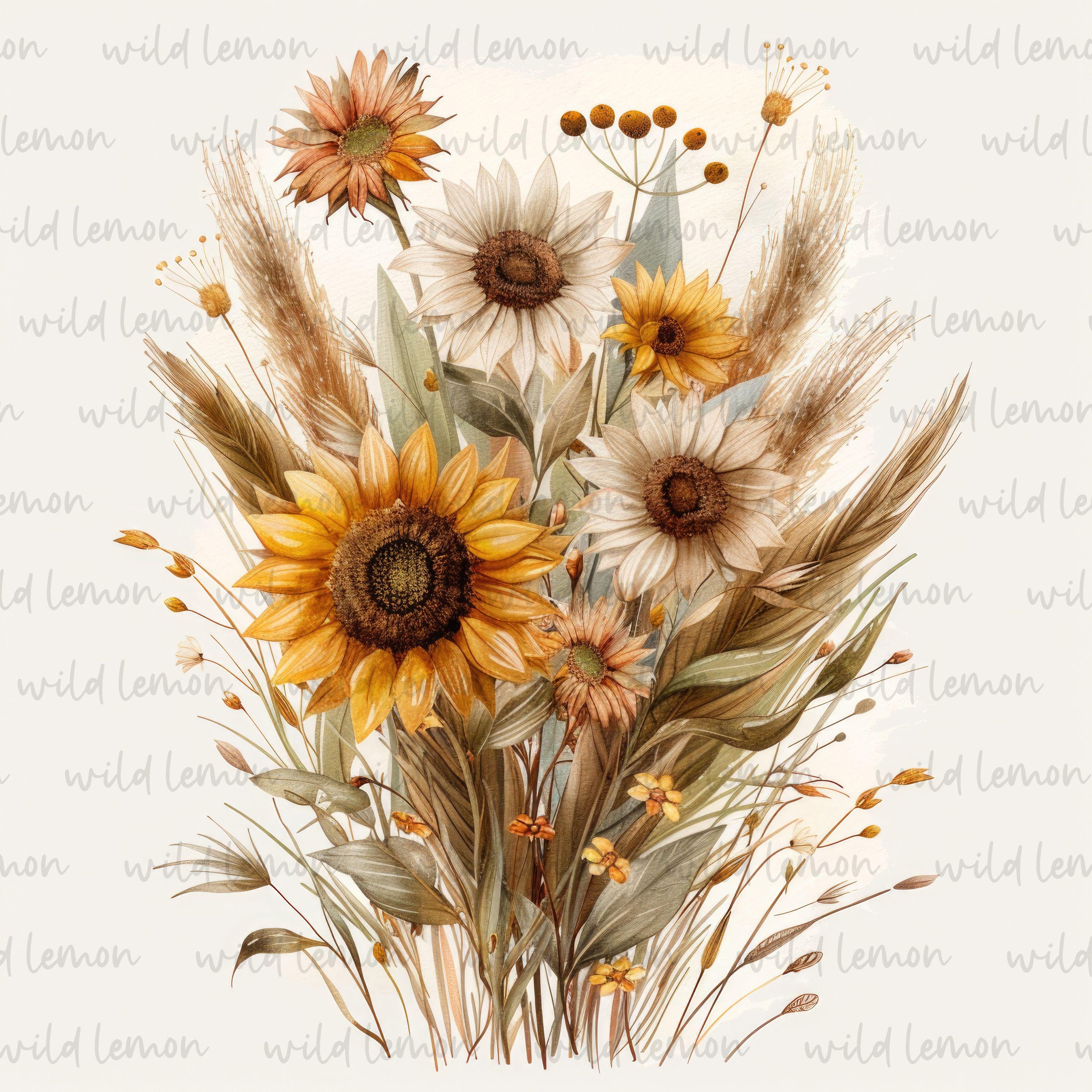 Sunflower Clipart - 10 Boho Sunflower Images, Watercolor Clipart, JPEG ...