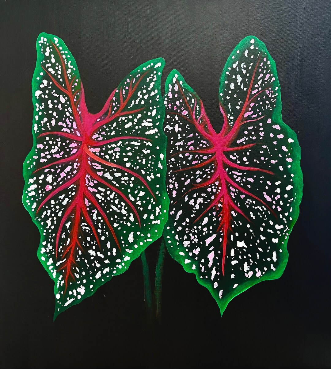 Caladium Houseplant Fine Art Print Plant Art Giclée Print - Etsy