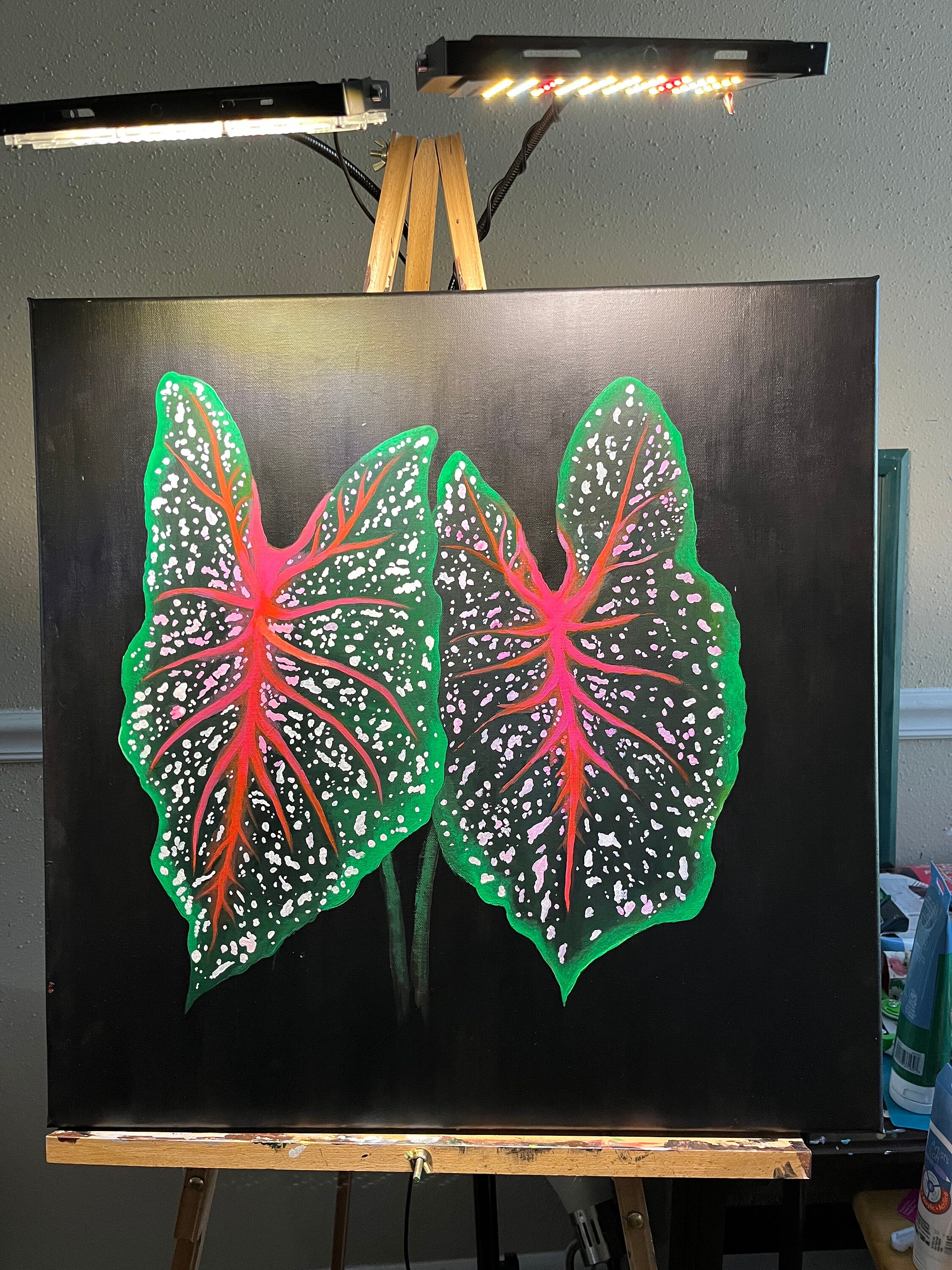 Caladium Houseplant Fine Art Print Plant Art Giclée Print - Etsy