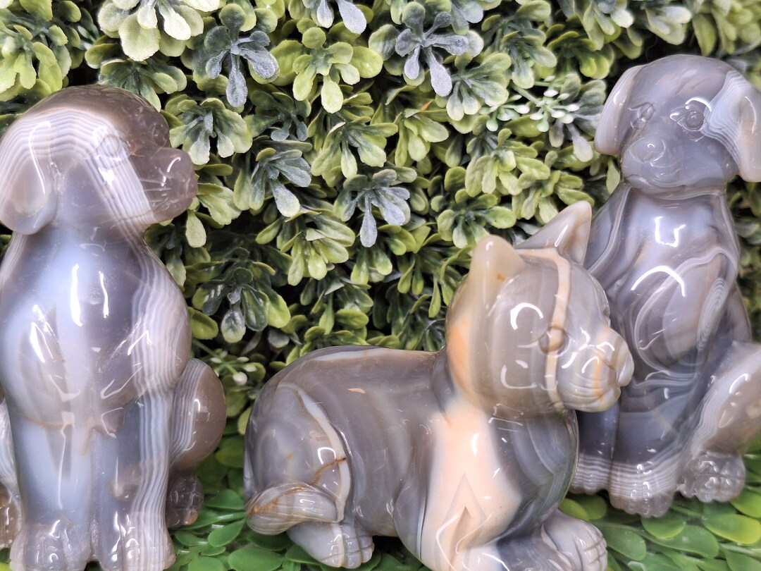 Agate Crystal Pets. Dog. Cat. // Cute & Adorable - Etsy