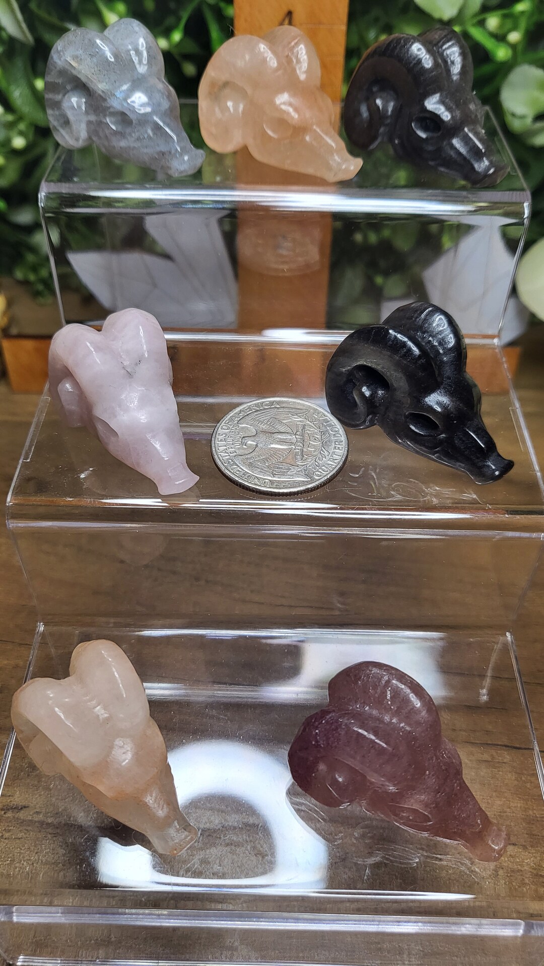 Crystal Small Ram Skull -- Mixed Materials - Etsy