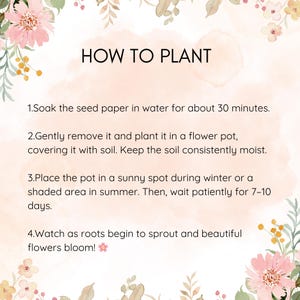 Plantable Seed Paper Gift Tag, Christmas Gift Tags for Family, Thank ...