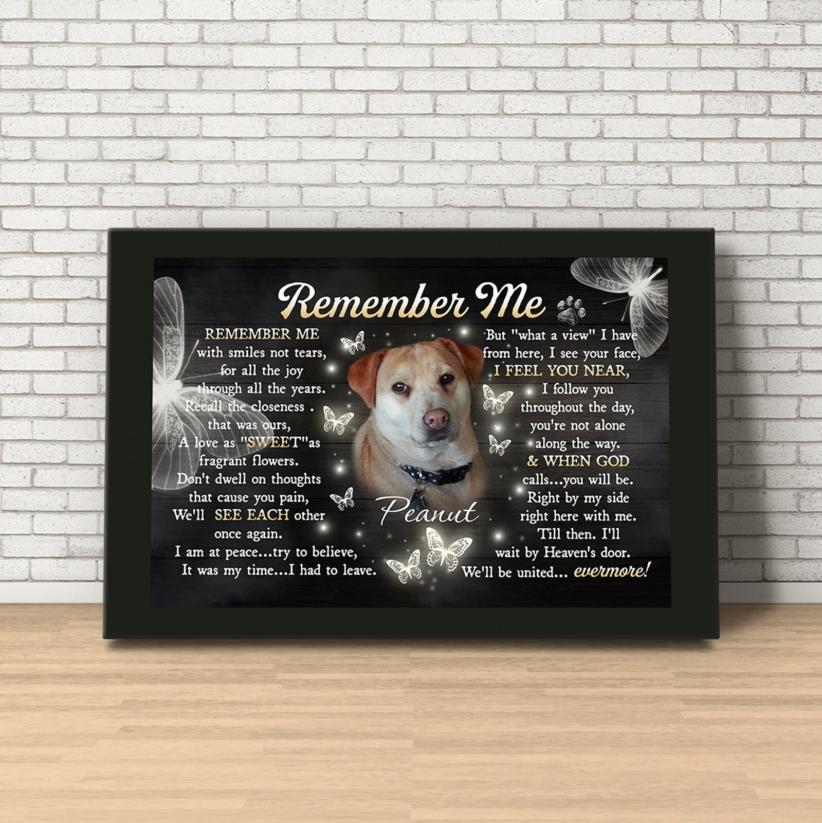 Will Dog Remember Me After A Year