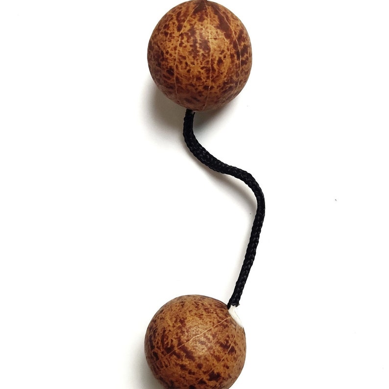 1 Asalato Kashaka Shaker Aslato Rattle Percussion Instrument - Etsy